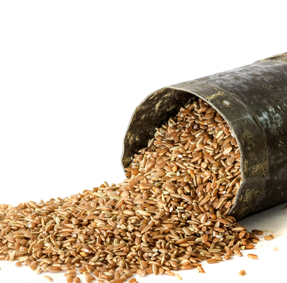 Products | Sahaja Organics